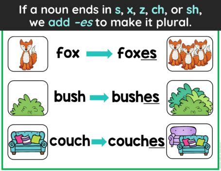 8 Plural Noun Rules To Teach In Second Grade Around The Kampfire