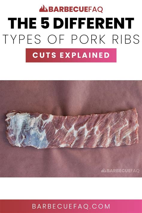 Types Of Pork Ribs Explained And Compared