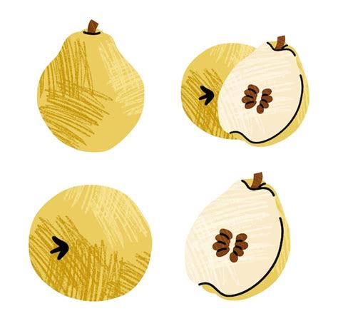 Illustrations De Fruits Illustration Simple Dans Un Style De Dessin De