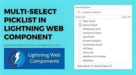 multi select picklist in lightning web component lwc salesforce for