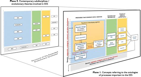 The Recently Stated Structure Of The Extended Evolutionary Synthesis