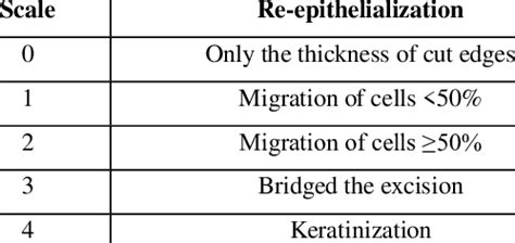 The Wound Healing Scoring Scales For Semi Quantitative Evaluation Of