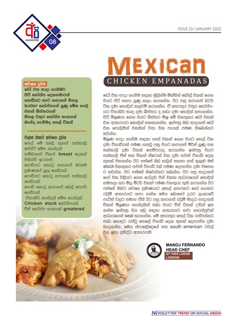 Mexican Chicken Empanadas Api Magazine