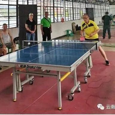 西双版纳州老体协举办乒出快乐乒出精彩乒羽交流活动 运动 羽毛球 乒乓球
