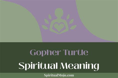 Gopher Turtle Spiritual Meaning Symbols Of Perseverance Spiritual Mojo