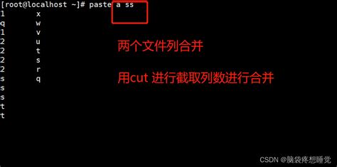 shell之正则表达式（sort、uniq、tr、cut、split、eval命令） shell split 换行 csdn博客