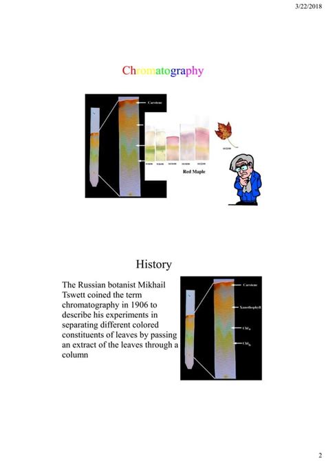 Chromatography Basics Pdf