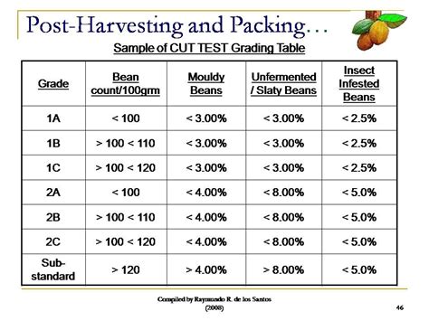 Cpb CocoaPinasBlogs STANDARD COCOA DRY BEANS QUALITY