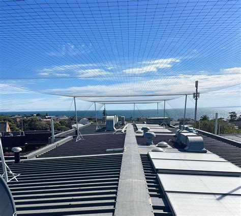 Melbournes Trusted Bird Netting Reliable And Effective