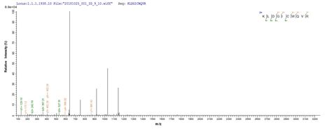 C8g Human Recombinant Protein Li Expressed 6xhis Sumo Tag