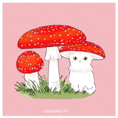 蘑菇猫咪 插画 画师たたメーピー 高清图片堆糖美图壁纸兴趣社区
