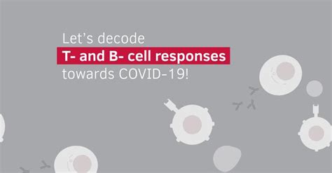 Mabtech On Linkedin Sars Fluorospot Elispot Elisa