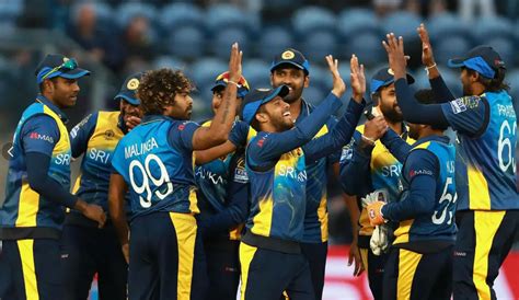 Crickets Best A Look At The Top Performing Teams