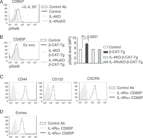 Enhanced Il 4 Signaling And Il 4ra Expression Regulate B Cat Tg Cd8