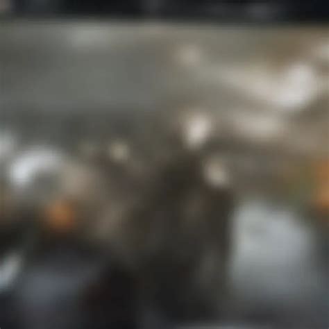 Mastering Neural Networks A Detailed Learning Guide