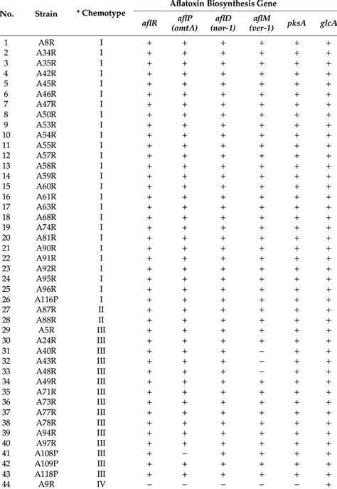 Amplification Pattern Of Aflatoxin Biosynthesis And Sugar Utilisation
