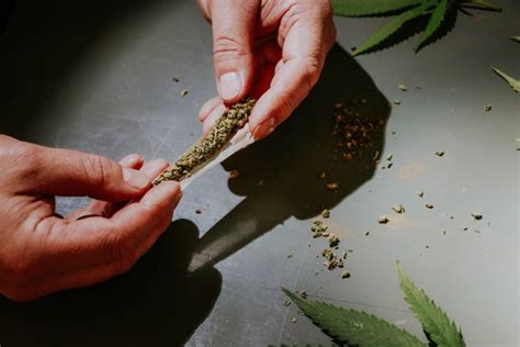 Schedule 6 Controlled Substances In St Paul What Are The Penalties