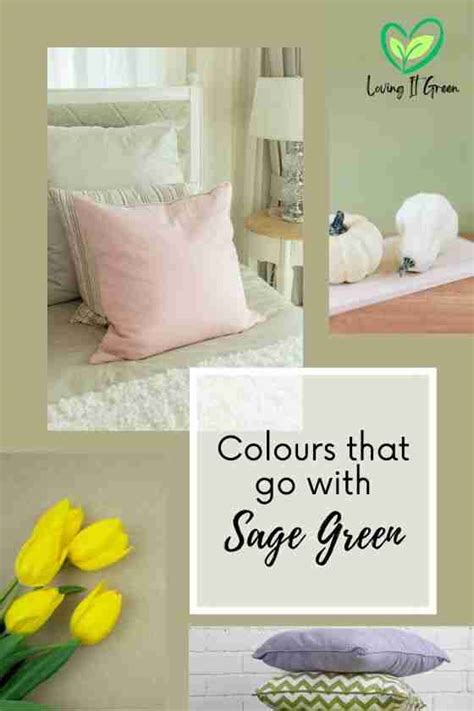 How To Use Sage Green Best Colour Combinations Loving It Green