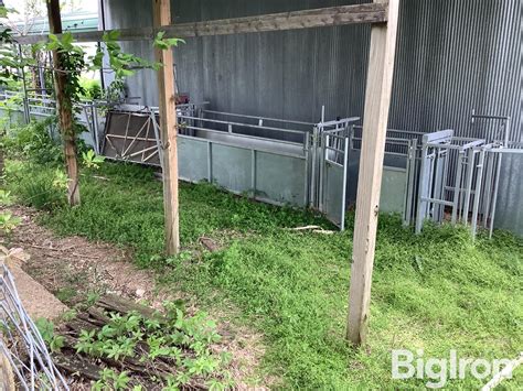 D S Sheep Working Chute And Corral Agriculture Bigiron