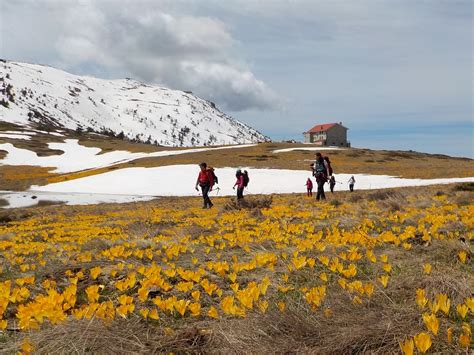 Στουκης Εργαλεια Μηχανηματα Στουκης Εργαλεια Μηχανηματα