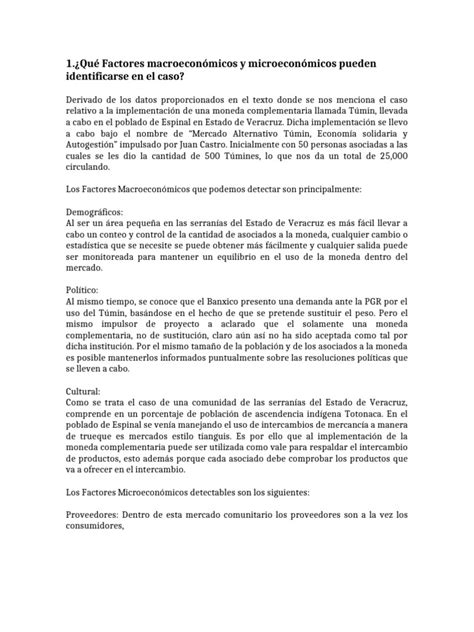 Caso 3 Tumin Pdf