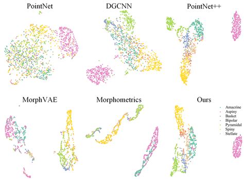Umap Visualization Of Different Features Download Scientific Diagram