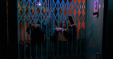 What Does Getting Zombied Mean In Dating What We Know