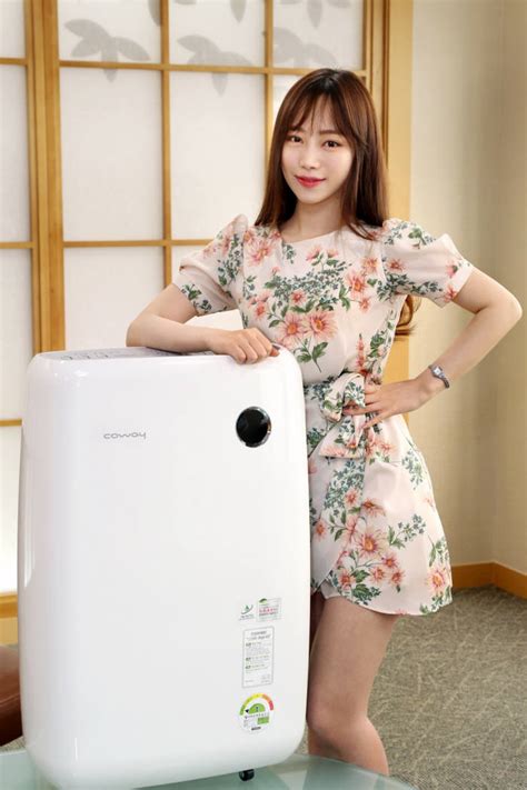 코웨이 여름철 청정제습 위한 `제습공기청정기 에누리 쇼핑지식 뉴스