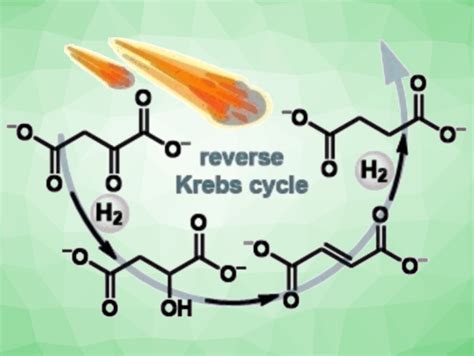 Primeval Reaction Pathways Chemistryviews