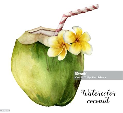 Plumeria 꽃 수채화 코코넛입니다 손으로 그린 스트라이프 튜브와 꽃 장식 흰색 배경에 고립 된 이국적인 음료 열 대 빨 대와 함께 칵테일입니다 디자인에 대 한 음식
