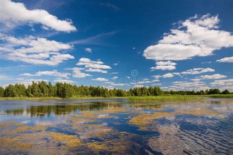 Погода лета пасмурная ландшафт с River Valley и типичным домом в