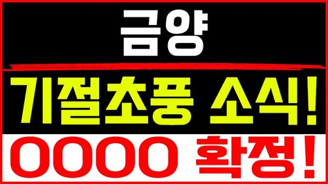 금양 주가전망 기절초풍 소식 Oooo 확정 금양 금양주가 금양주가전망 금양목표가 금양주식 리튬 에코프로 에코프로비엠