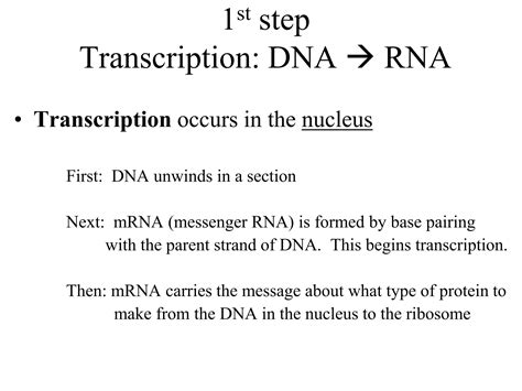 Chapter 11 Dna Structure And Replication Rna And Protien Synthesis 2017ppt