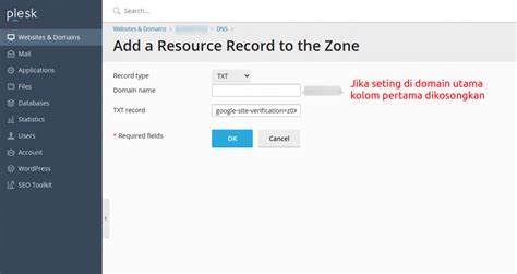 Panduan Verifikasi Domain Ke Google Search Console Melalui DNS