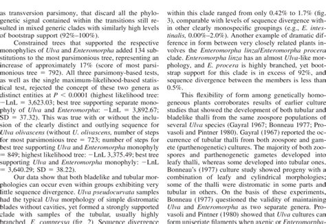 Majority Consensus Bootstrap Tree Of Parsimony Top Bootstrap Value Download Scientific