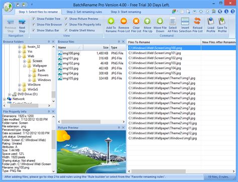 BatchRename Online Help