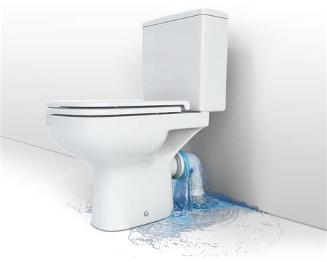 What Causes A Toilet To Overflow When Do I Call A Professional