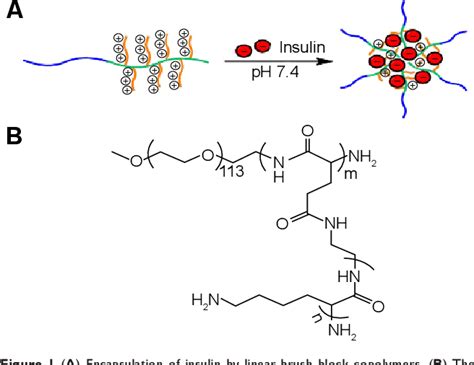 Figure 1 From The Effect Of Insulin Loaded Linear Poly Ethylene Glycol Brush Like Poly L Lysine