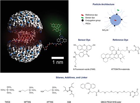 Molecular Rendering And Illustration Of Nanosensor Particle