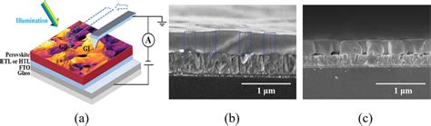 A Schematic Showing The Sample Configuration Used For C‐afm Download Scientific Diagram