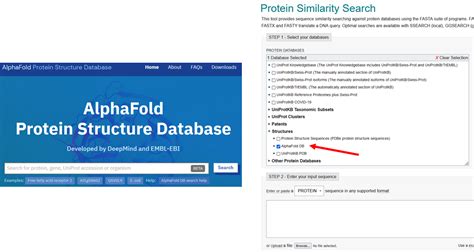 Alphafold Based Databases And Fully Fledged Easy To Use Online Alphafold Interfaces Poised To