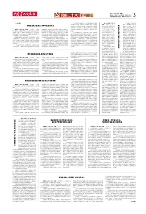 推进国家安全体系和能力现代化坚决维护国家安全和社会稳定中国有色网 中国有色金属报数字报