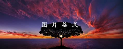 周记怎么写 格式