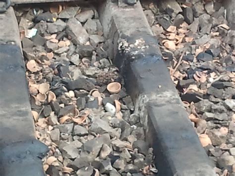 Kolkata Girls Anti Trafficking Pro Empowerment Globalgiving