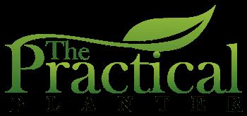 How To Aerate Soil In Potted Plants And Why You Should Do It The