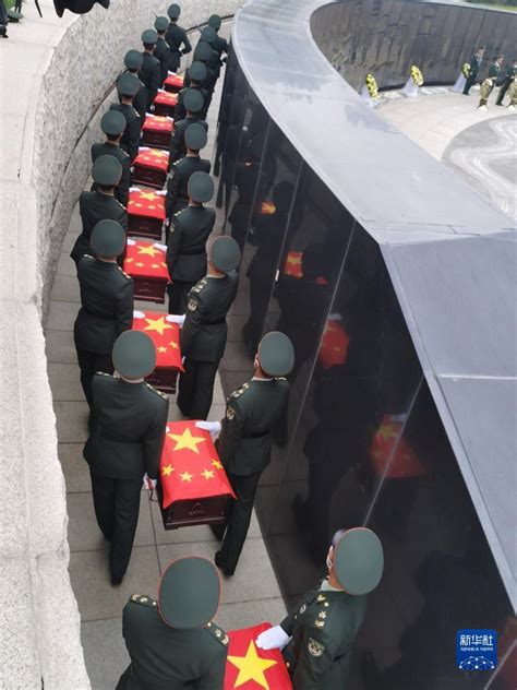 第八批在韩中国人民志愿军烈士遗骸安葬仪式在沈阳举行 图 图片中国中国网