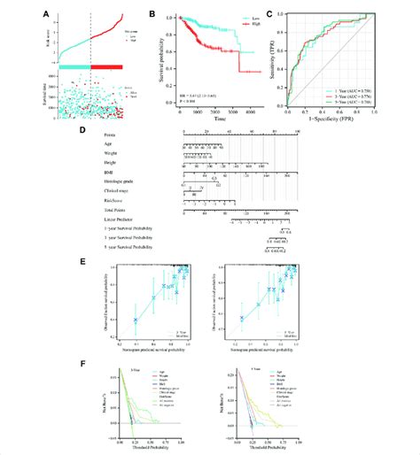 Cervical Cancer Frgs Prognosis Model Validation In The Tcga Ucec A