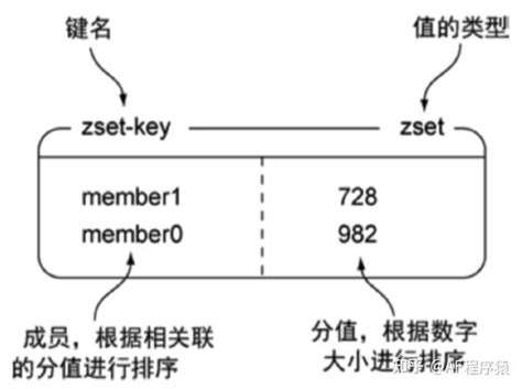 Redis数据类型大全 种基础数据类型 种特殊数据类型 知乎