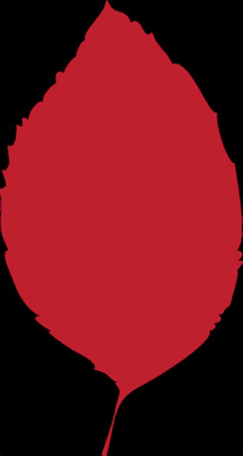 Малюнки осіннього листя красиві картинки для змальовки