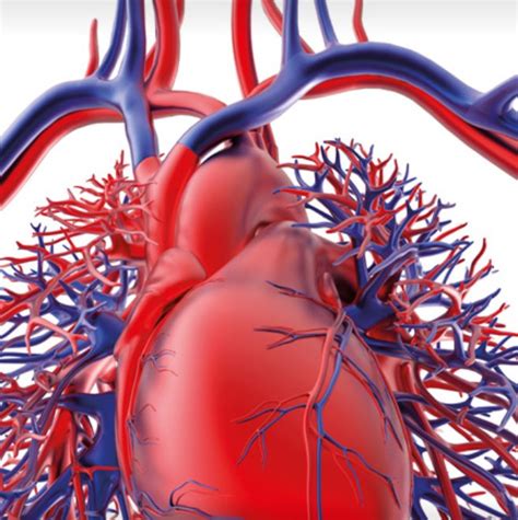 Hepatology